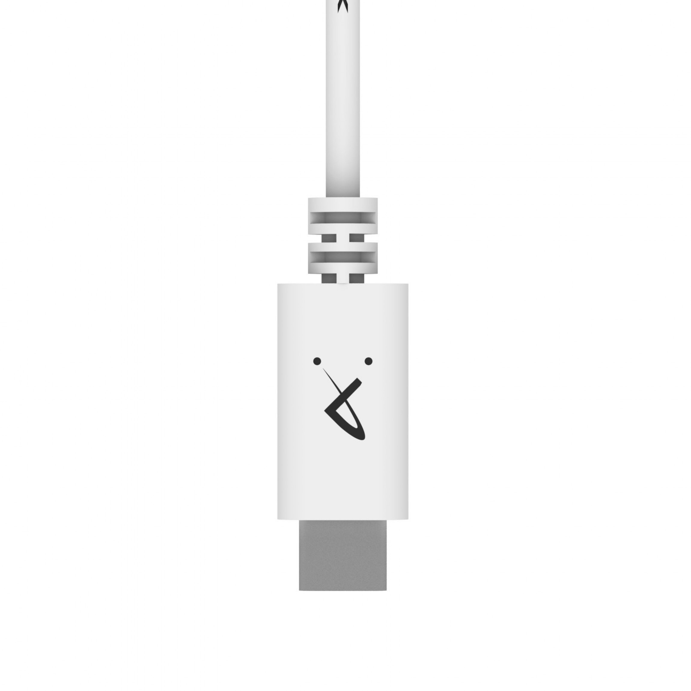 VidaPower High-Wattage, USB-C to Lightning Cables - 10ft (3m)