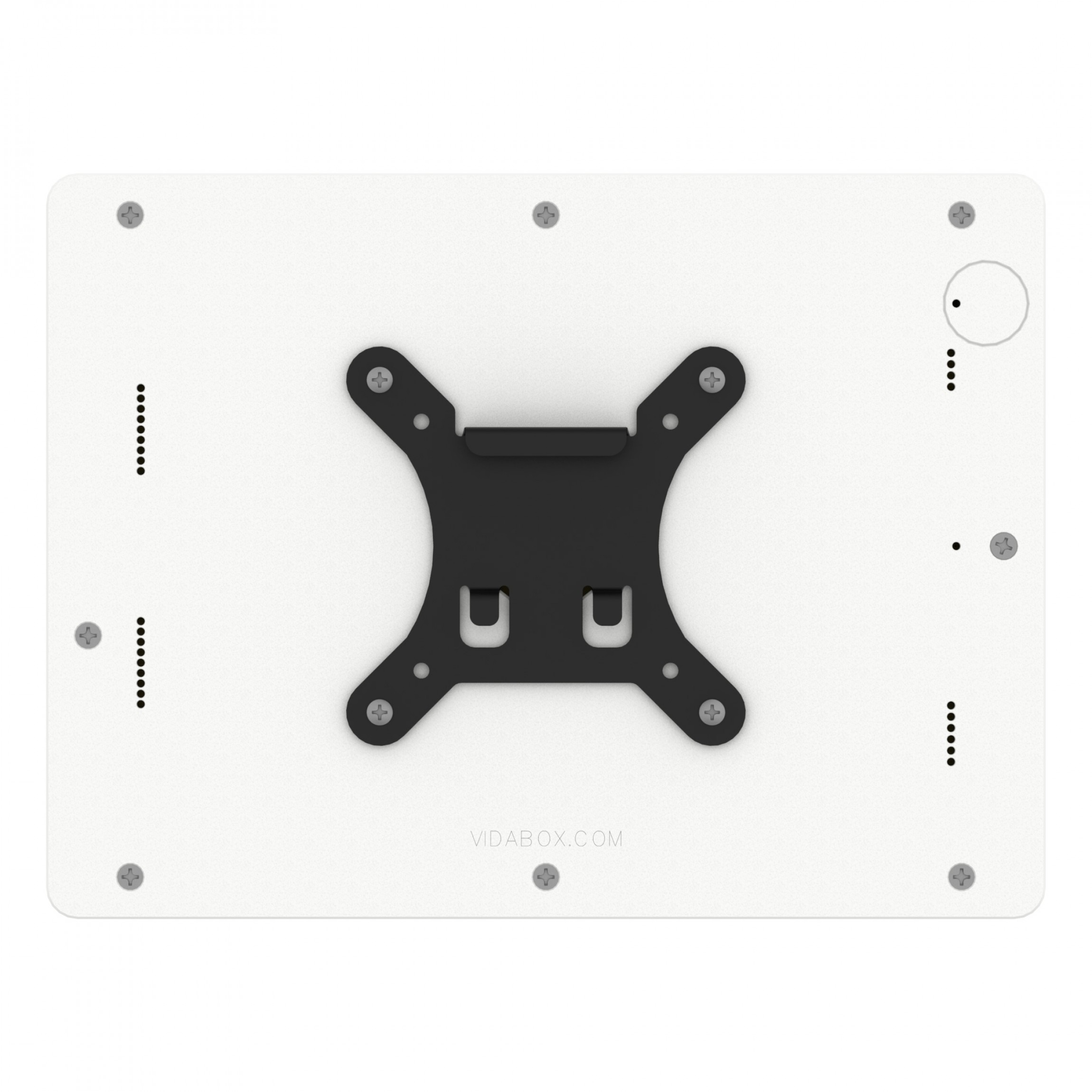 VidaMount Removable Tilting Glass Mount 10.5-inch iPad Pro & Air 3rd ...
