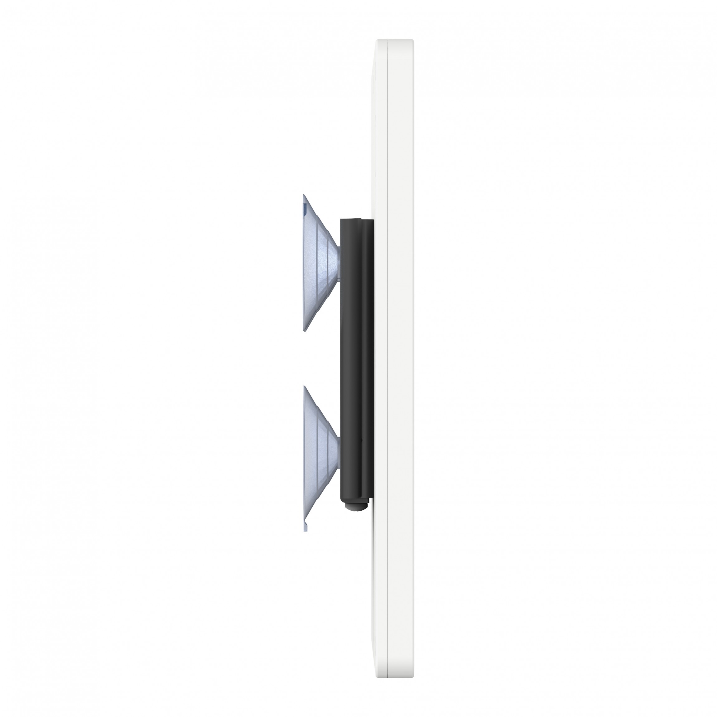 VidaMount Removable Fixed Glass Mount 12.9-inch iPad Pro 3rd Gen Rear ...
